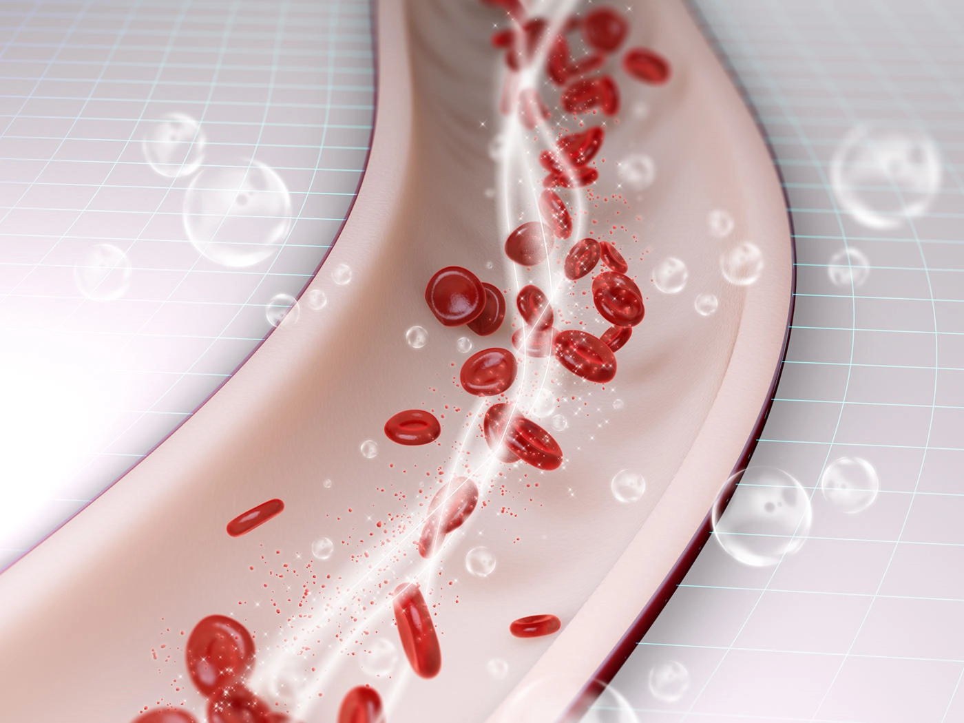 Circulation Of Blood Flow In The Body 11 Fascinating Blood Flow Facts